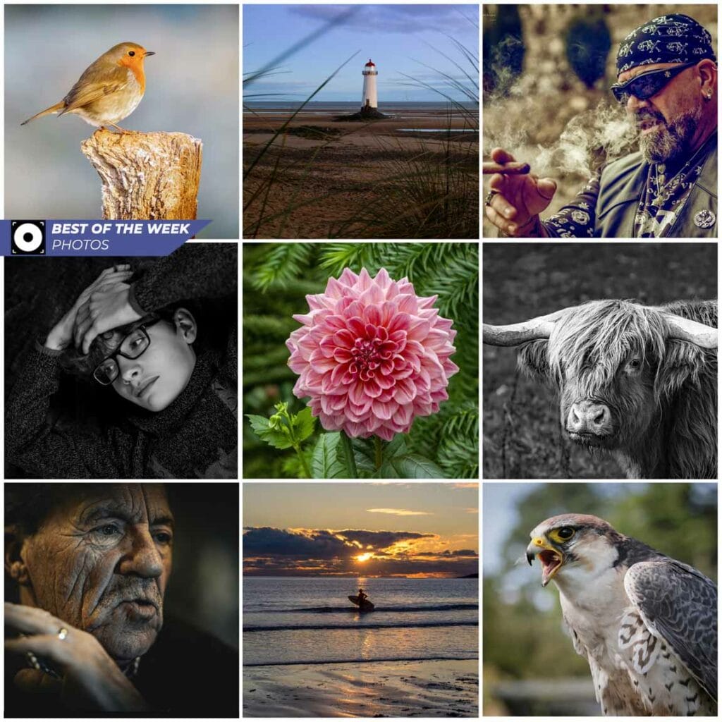 Photo of the Day and Weekend Challenge: How To Win