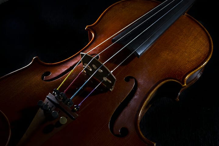 Low Key Photography: Incredible Tips & Tricks for Beginners