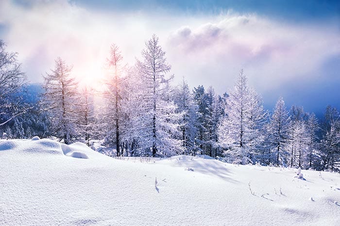 Winter Photography Tips and Ideas for Amazing Images