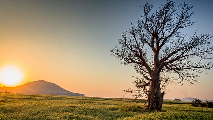 Feedback: How to Drop Awesome Photo Comments - Tips by iPhotography