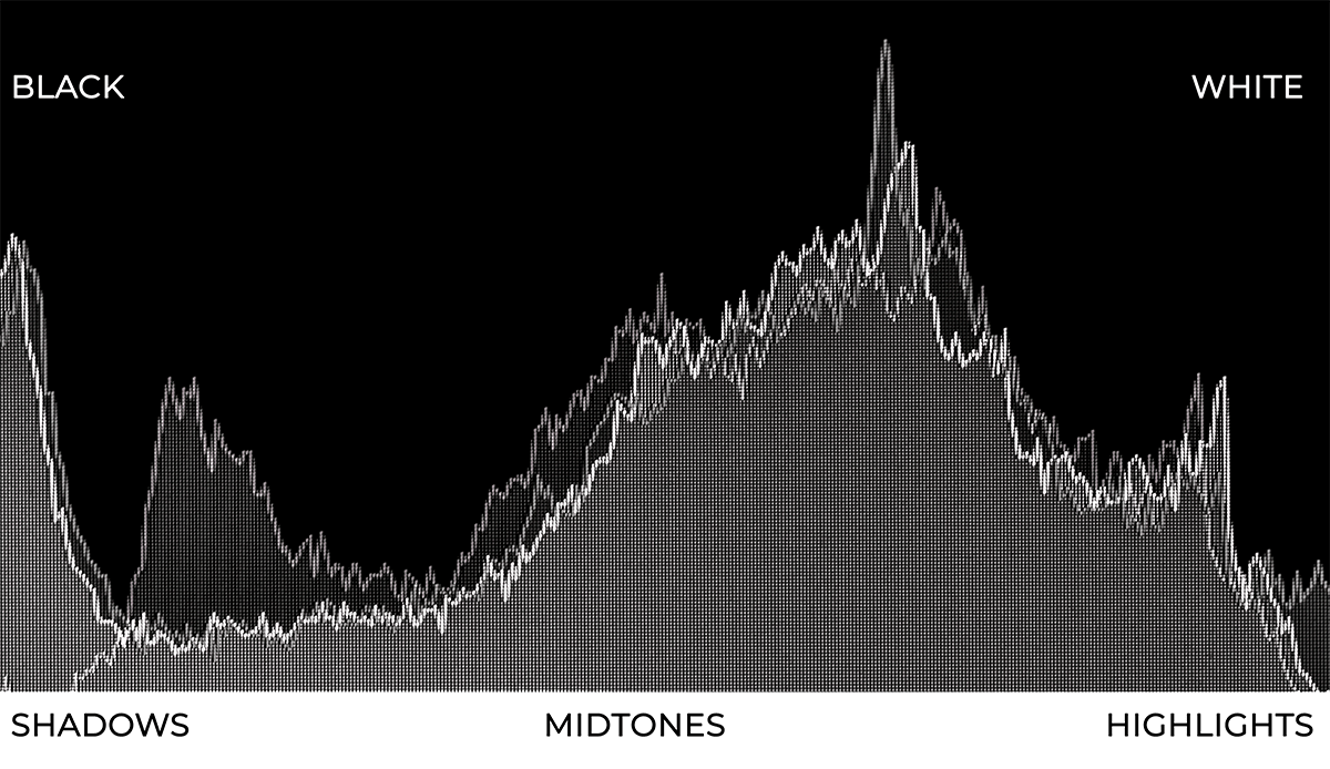 How to Use a Histogram - Beginner's Guide to Unlocking AMAZING Photos