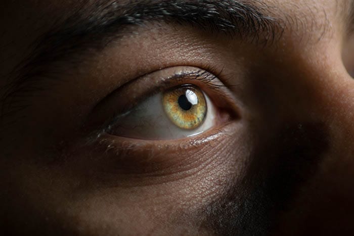 Catchlights - How to Make the Eyes SPARKLE in your Photographs