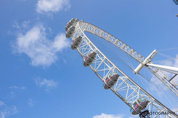 Creative Angles - Tips for Photographers for PRO Shots (8 Angles to Try)