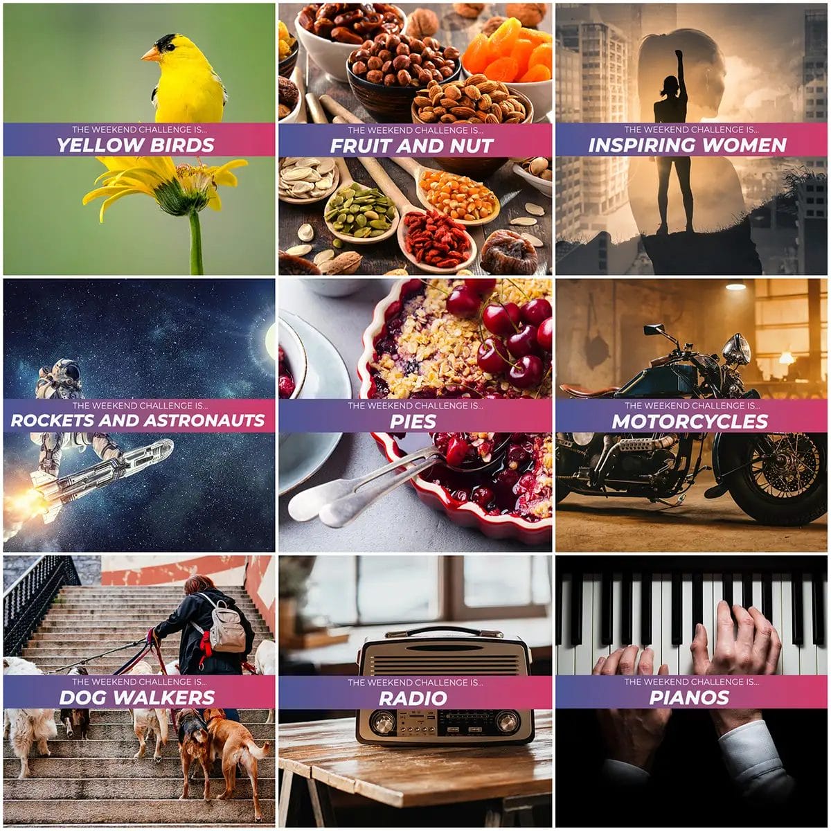 Photo of the Day and Weekend Challenge: How To Win