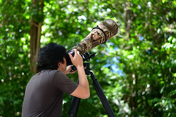 Bird Hide Photography: 7 Quick Tips - iPhotography Digital Online School