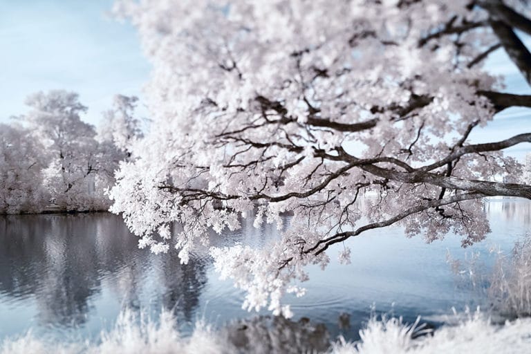 Infrared Photography Tutorial: Guide to Camera Settings & IR Filters