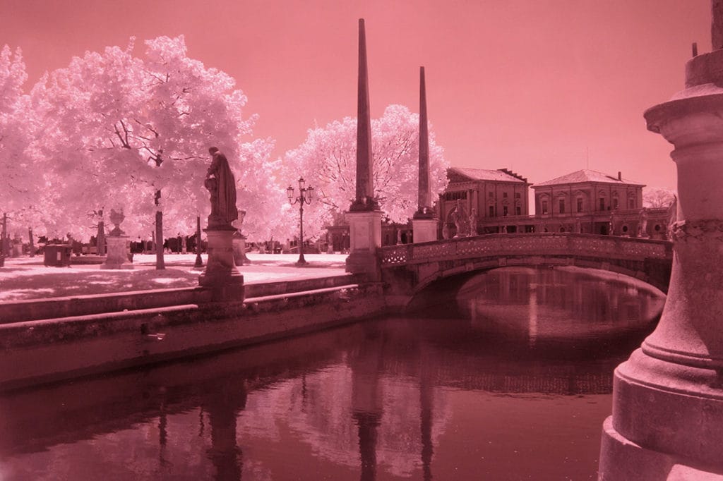 Infrared Photography Tutorial: Guide to Camera Settings & IR Filters