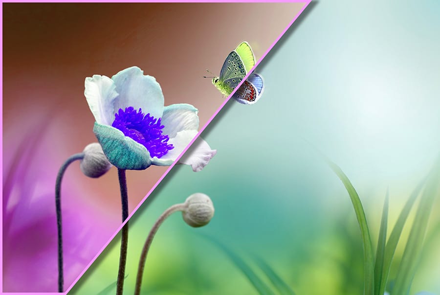 Affinity photo online course & training ️ iPhotography