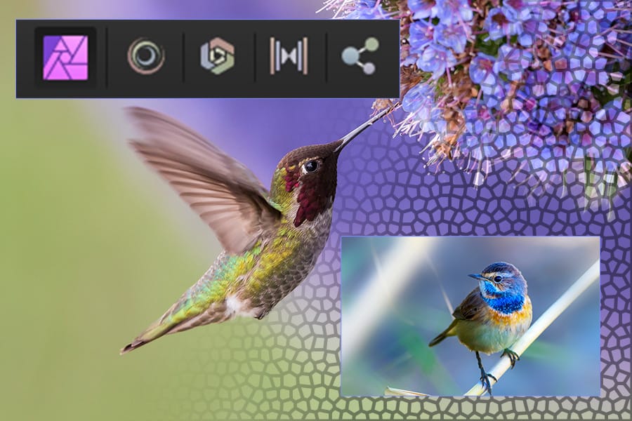 Affinity photo online course & training ️ iPhotography