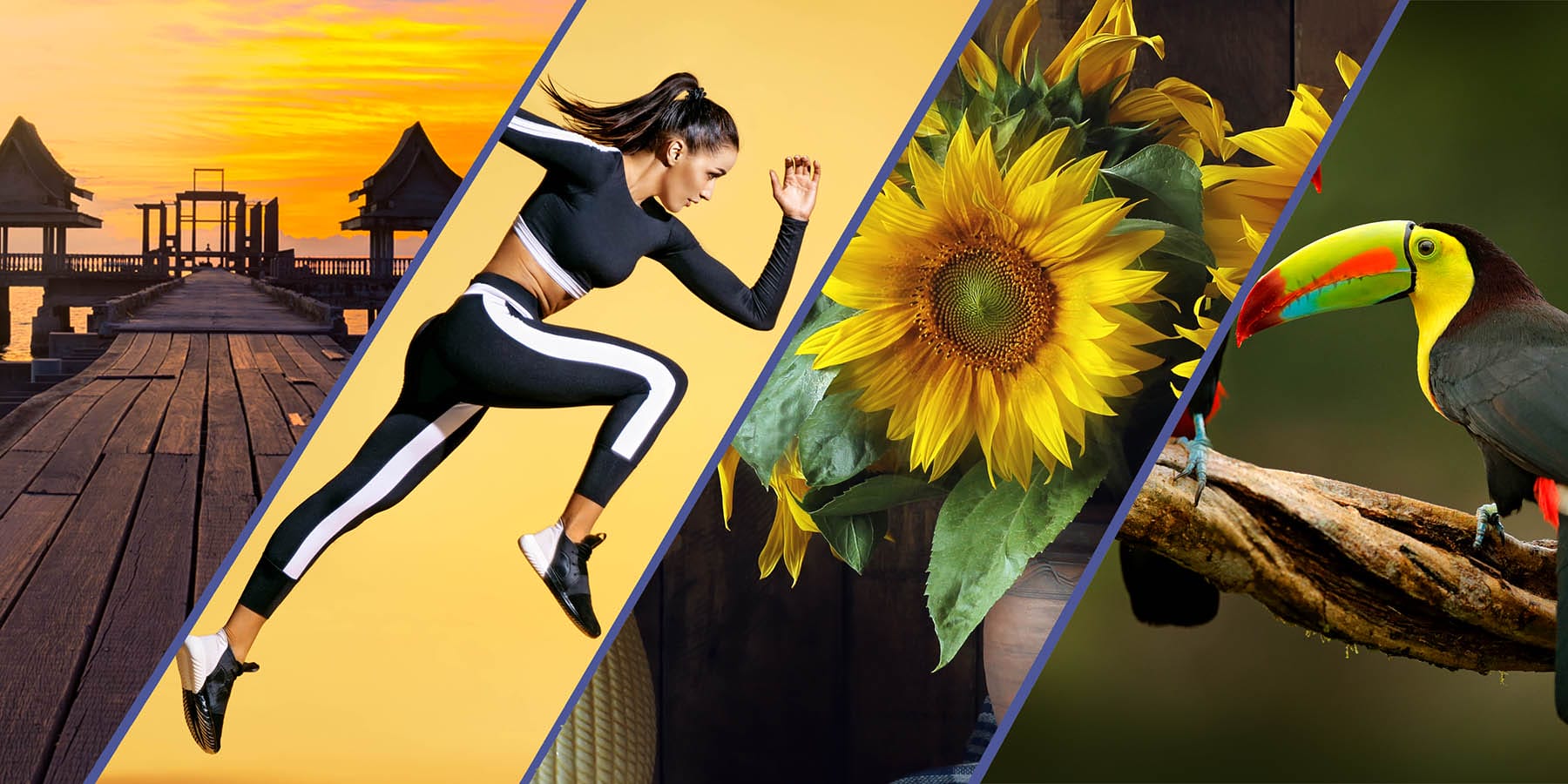 Photoshop Introduction Course - Online photography courses from ...