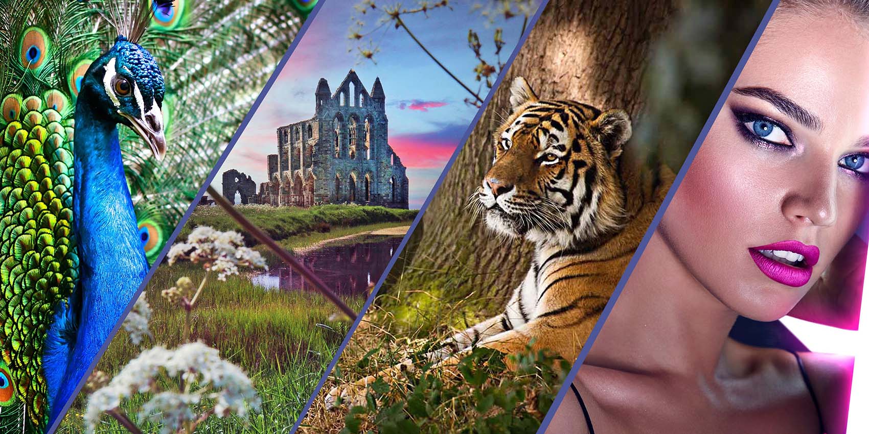 Online photography course for Beginners ️ iPhotography