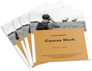 Wildlife photography course ️ iPhotography™