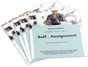 Wildlife photography course ️ iPhotography™