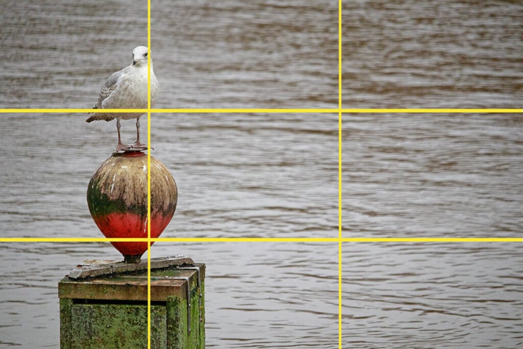 Introduction to Photography Course - Online photography courses from ...