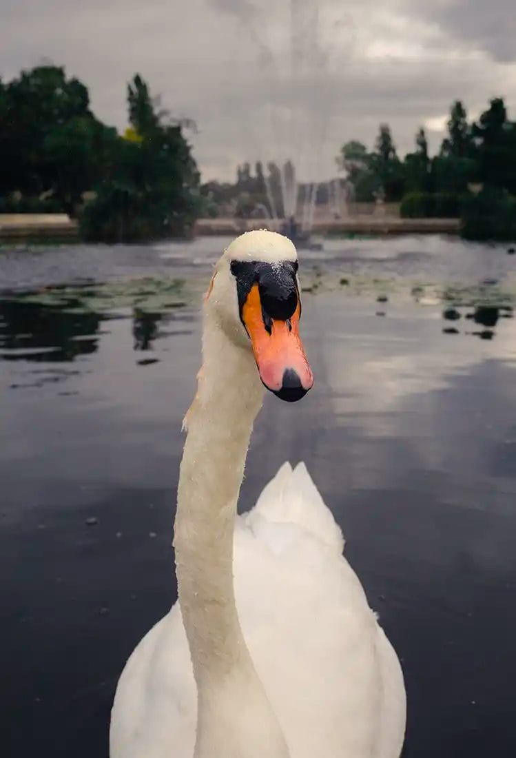 5 Ways to Make a Photo More Interesting (Simple Tricks to Try!)