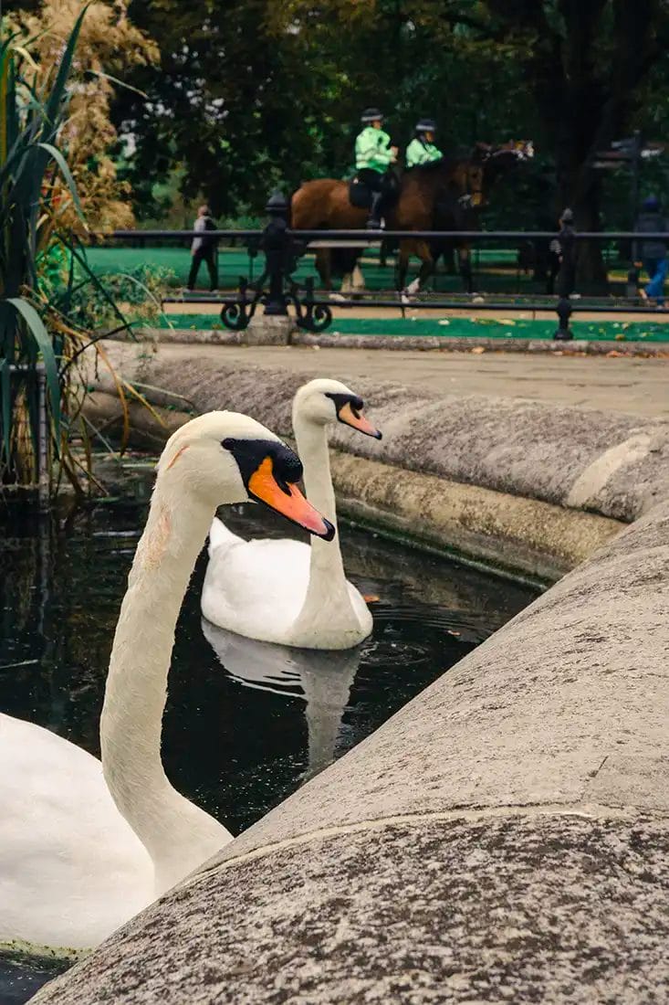 5 Ways to Make a Photo More Interesting (Simple Tricks to Try!)