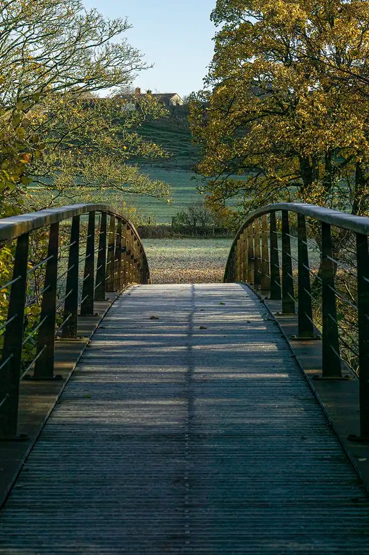 5 Ways to Make a Photo More Interesting (Simple Tricks to Try!)