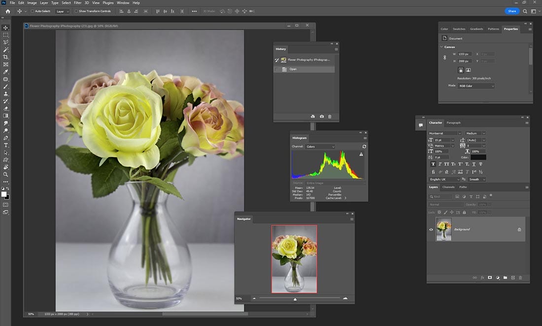 Photoshop Photography Course for Beginners - CPD Approved