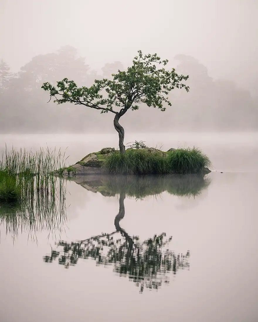 What is Storytelling in Photography?
