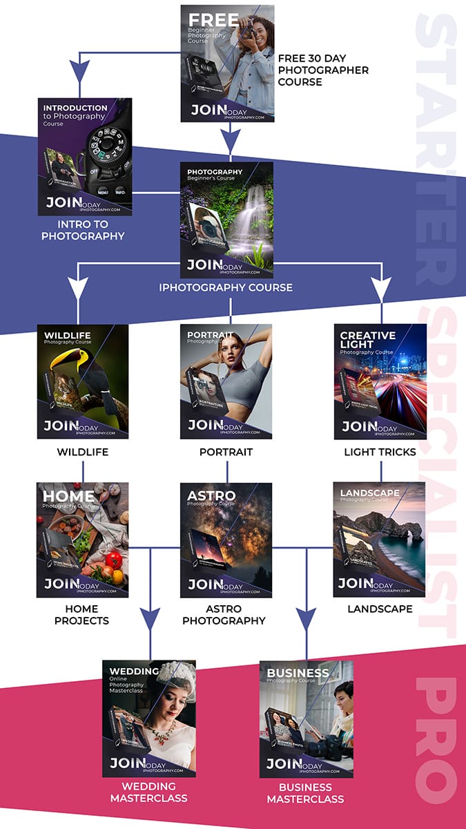 The Best Way to Learn Photography for Beginners UPDATED 2023