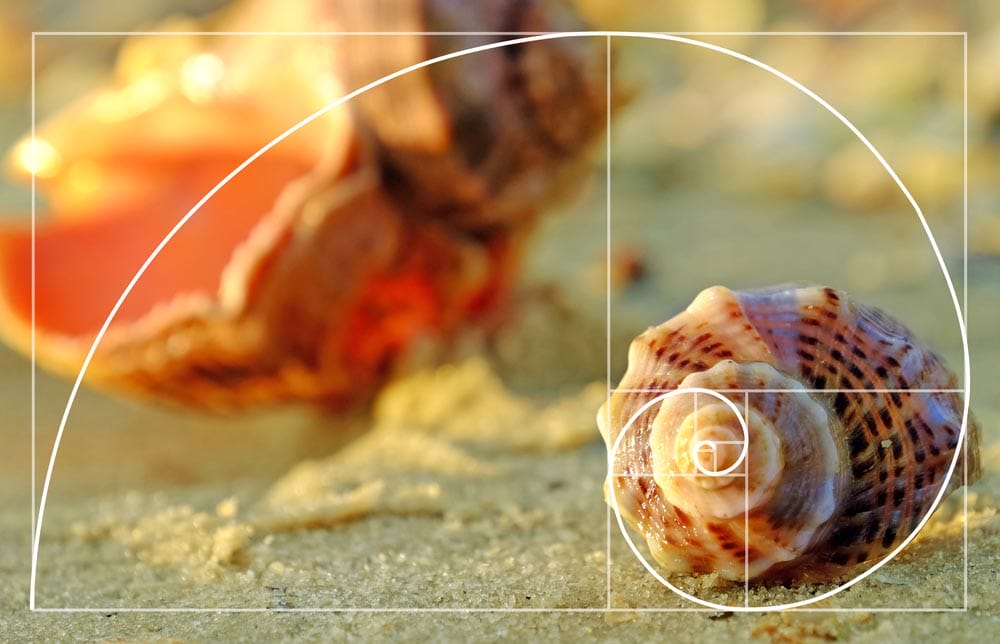 What is the Golden Ratio? How to Use it for Photography