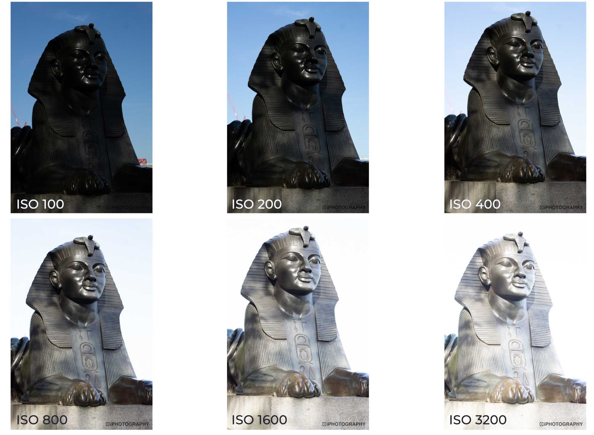 What is ISO for Photographers? The Meaning of ISO