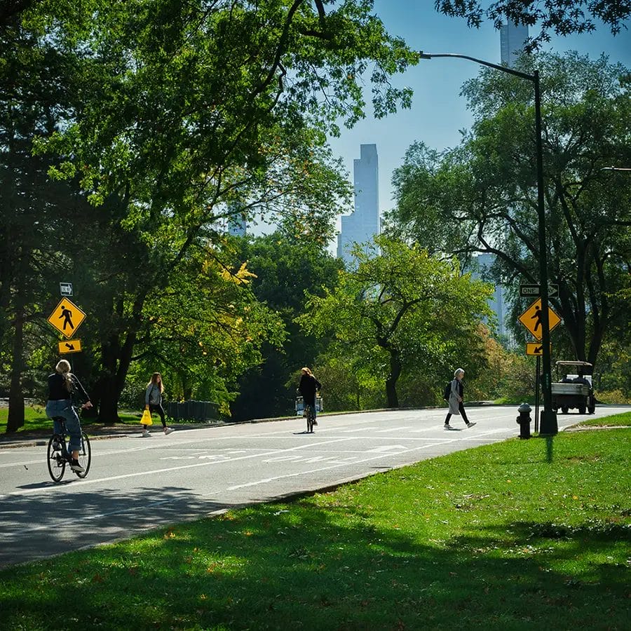 Central Park Photography Tips