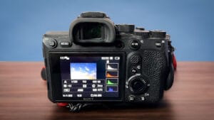 Understanding Histograms in Photography (Luminar Neo)