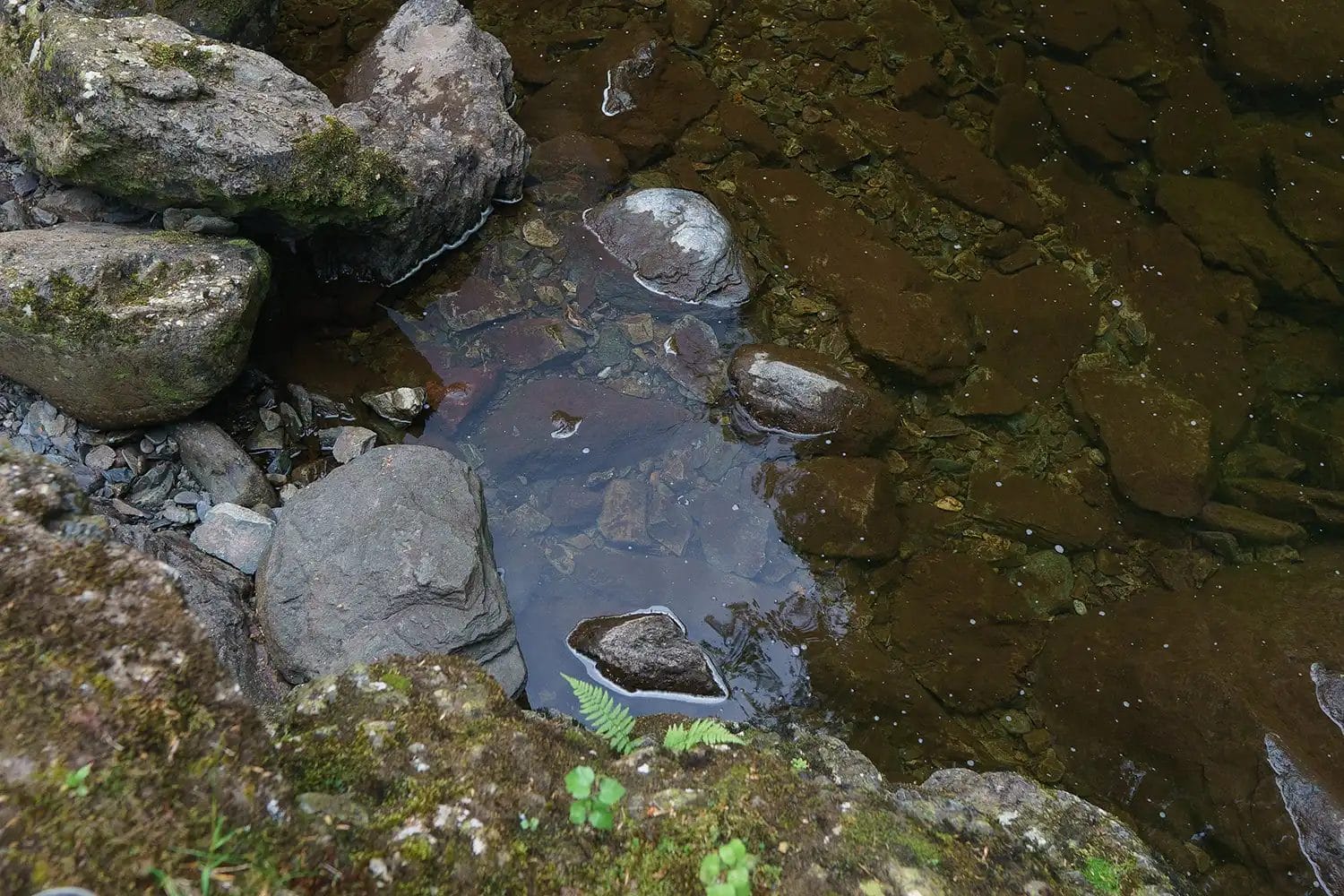 A Guide to Polarizer Lens Filters for Photography