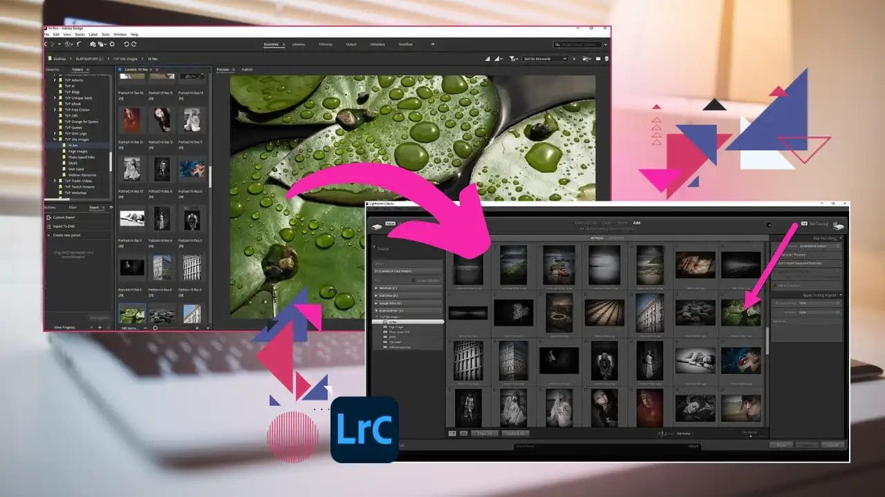 How to Use Adobe Bridge for Photographers